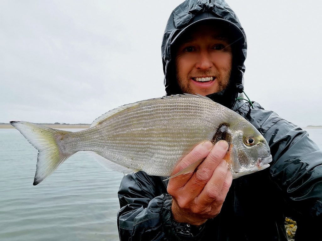 gilthead bream Archives - North Devon & Exmoor Angling News - The ...