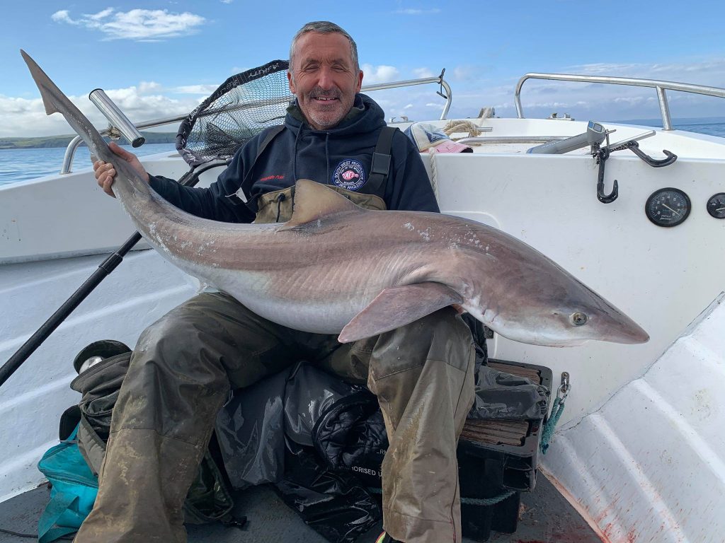 Massive tope brace off North Devon Coast - North Devon & Exmoor Angling ...