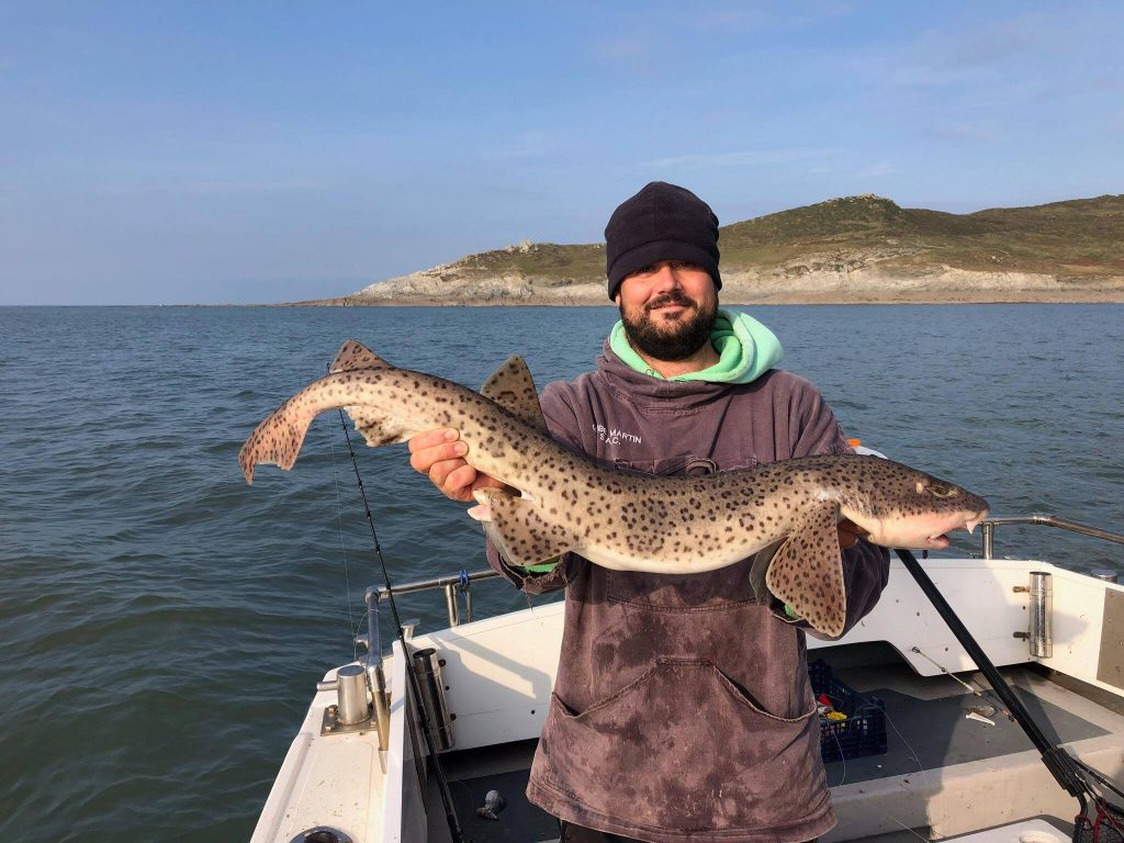 122078626_1563377493853621_561673982269505221_n - North Devon & Exmoor ...