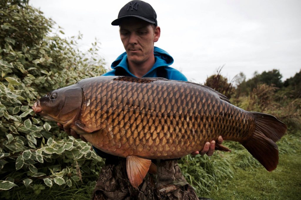 STUNNING CARP FROM FURZEBRAY - North Devon & Exmoor Angling News - The ...