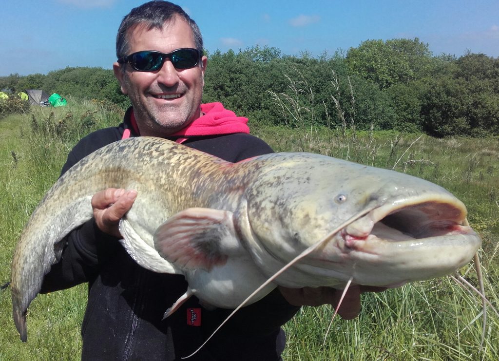 CATFISH FROM PARADISE - North Devon & Exmoor Angling News - The latest ...