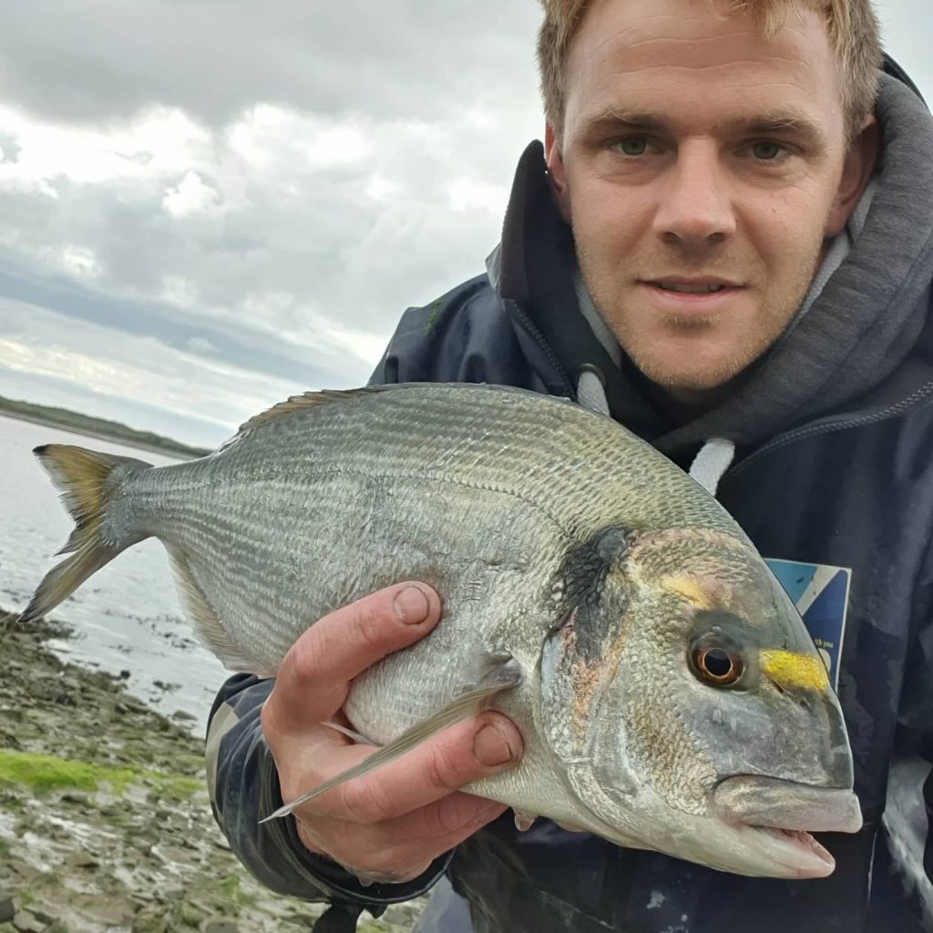 Summer gilts - North Devon & Exmoor Angling News - The latest up to ...