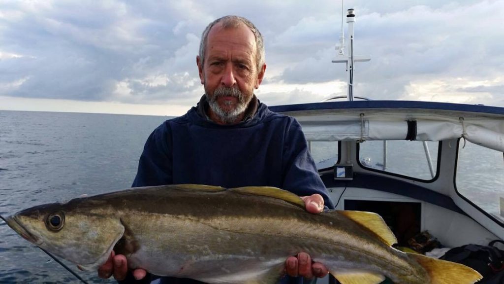 Double Figure Pollock - North Devon & Exmoor Angling News - The latest ...