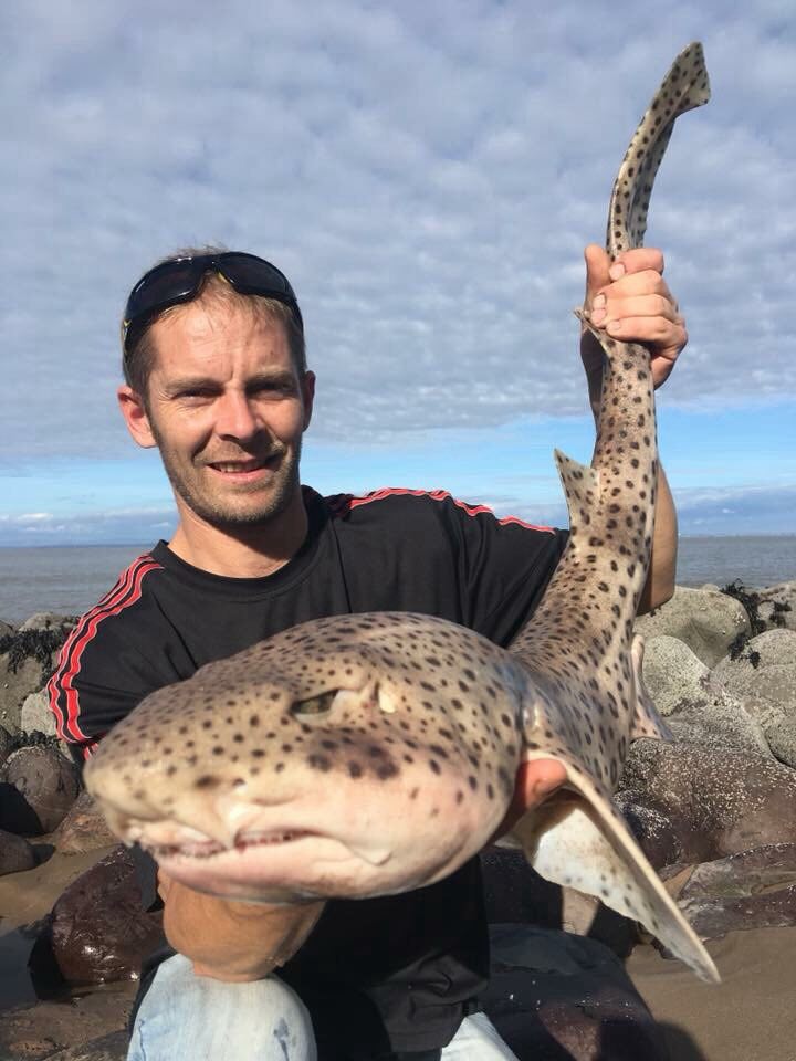 Big bull huss - North Devon & Exmoor Angling News - The latest up to ...