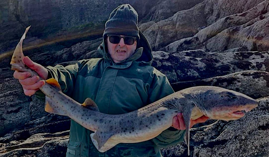 Massive bull huss wins Bideford Competition - North Devon & Exmoor ...