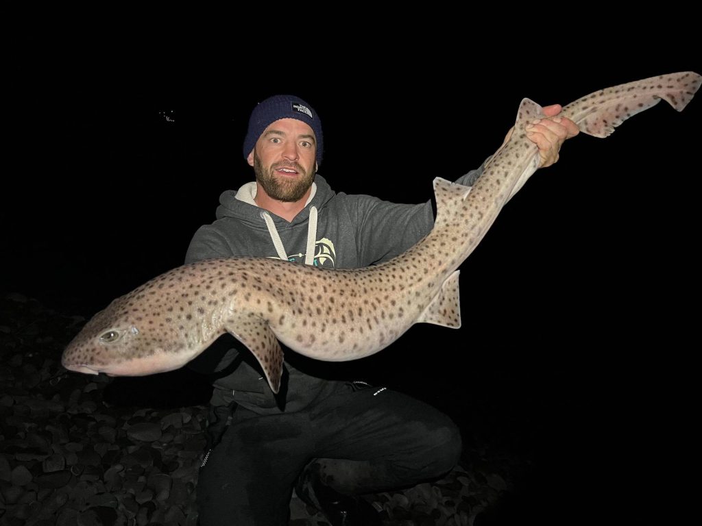 Big huss, blondes and hounds. - North Devon Angling News - The latest ...