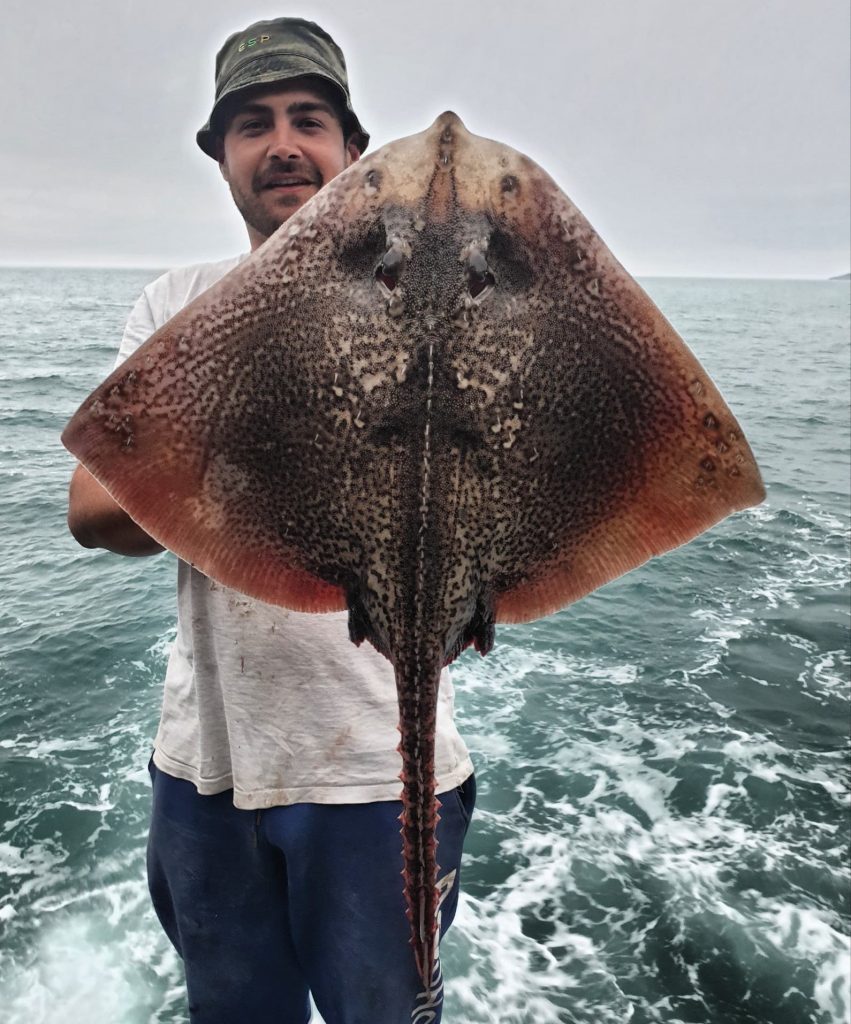 North Devon thornback - North Devon & Exmoor Angling News - The latest ...