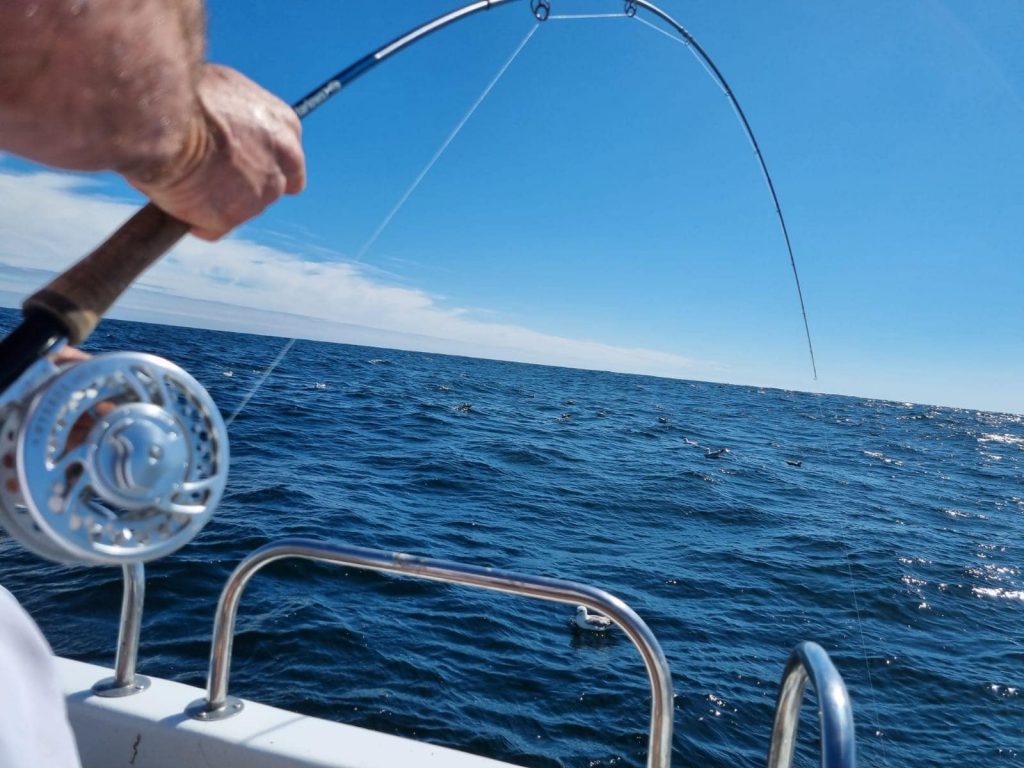 Sea Angling Archives - North Devon Angling News - The latest up to date ...