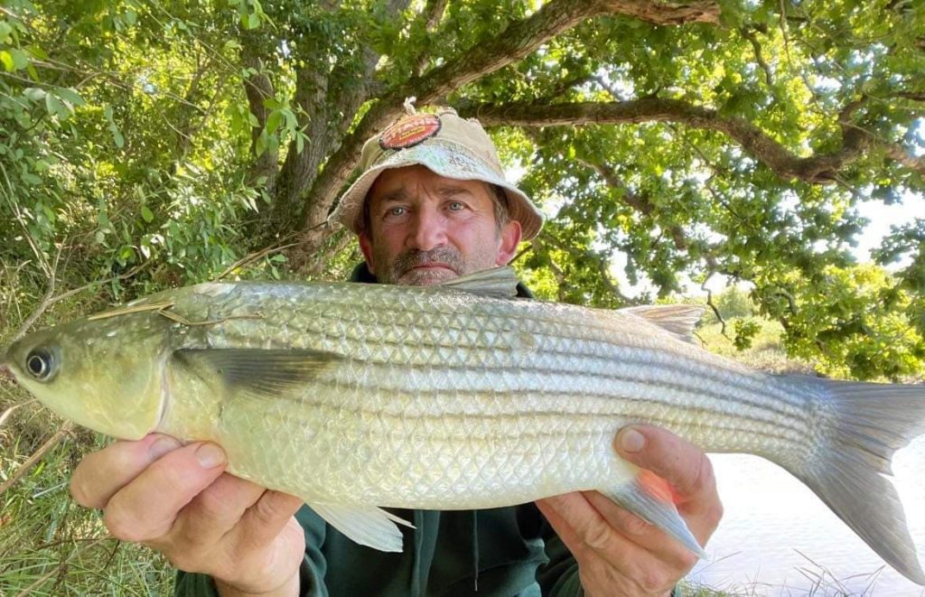 Sea Angling Archives - North Devon Angling News - The latest up to date ...