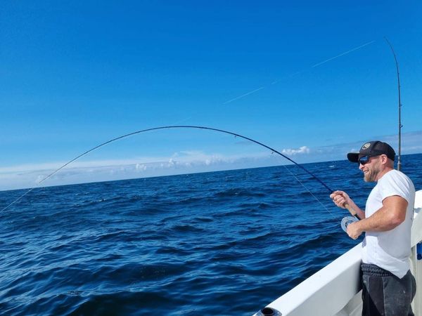 Blue Shark on the Fly - North Devon & Exmoor Angling News - The latest ...