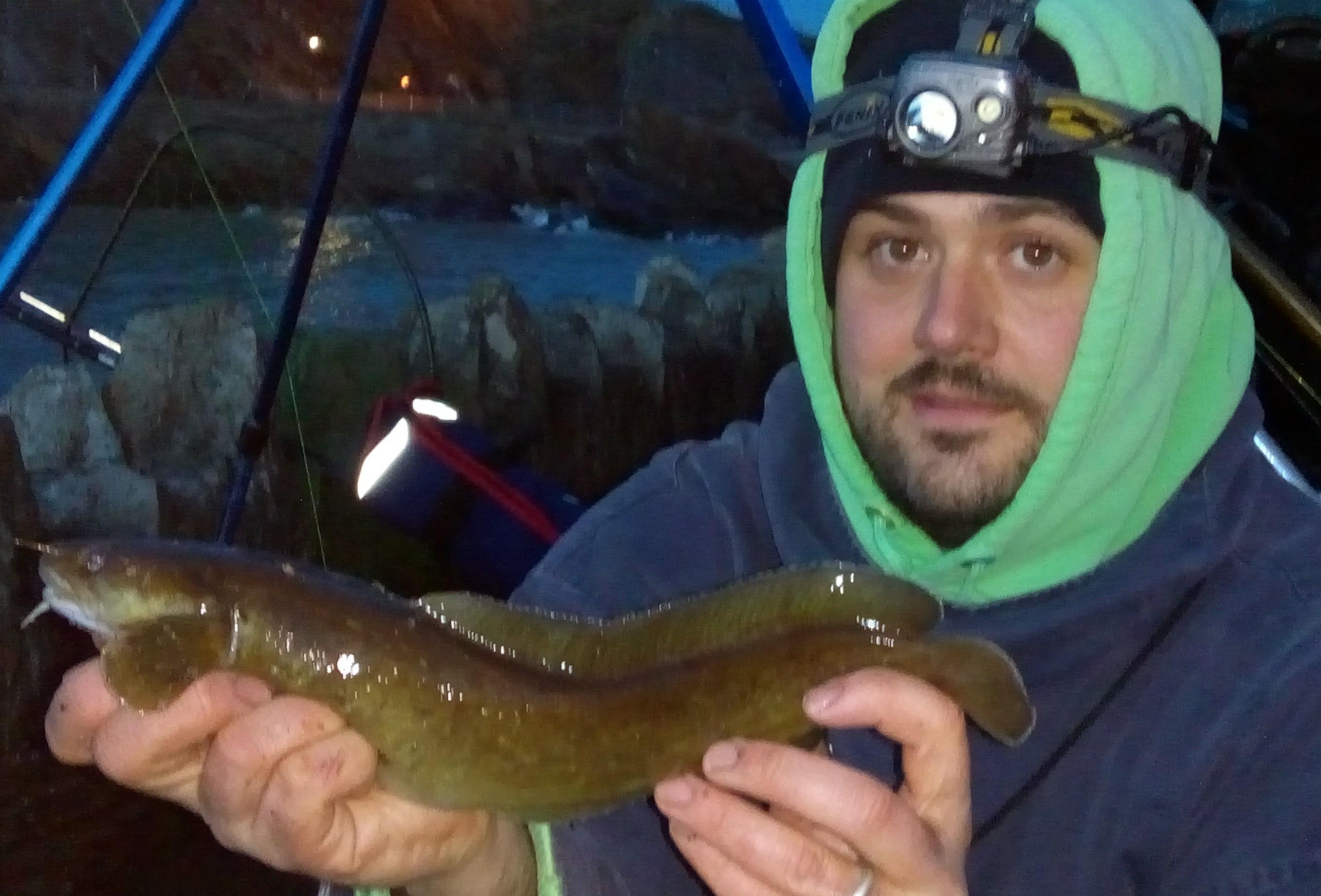 A few fish about! - North Devon & Exmoor Angling News - The latest up ...