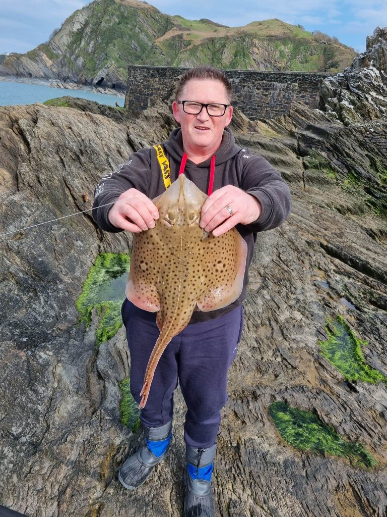 Proper Job spotted ray - North Devon & Exmoor Angling News - The latest ...