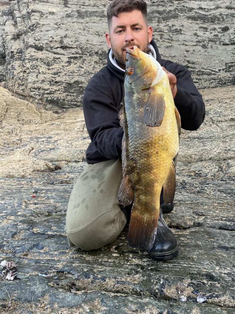 Big Ballan Wrasse - North Devon & Exmoor Angling News - The latest up ...