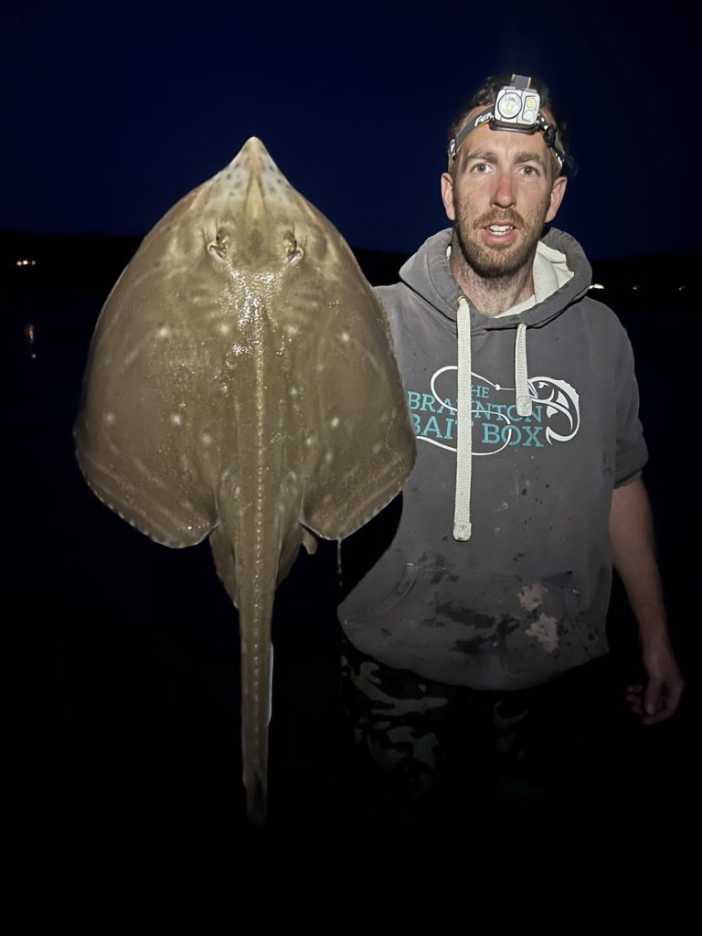 PROSPECTS GOOD FOR SUMMER RAY SPORT - North Devon Angling News - The ...