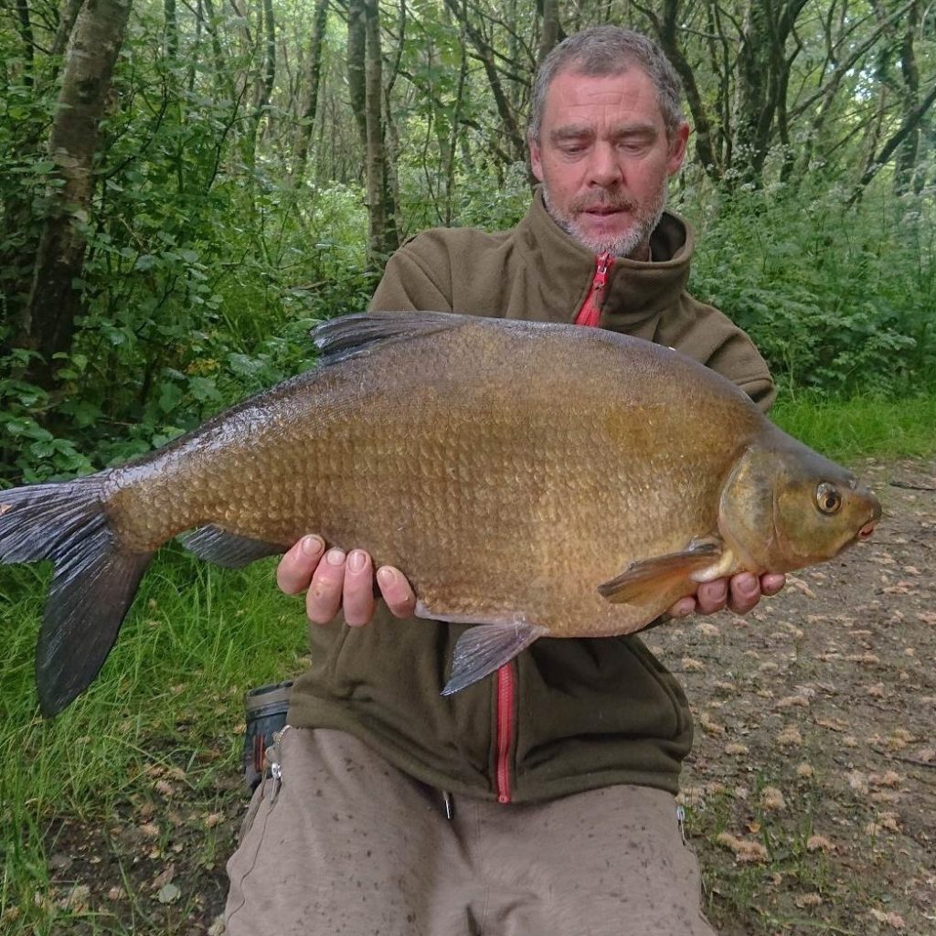 Lower Tamar Lake - Bream - North Devon & Exmoor Angling News - The ...