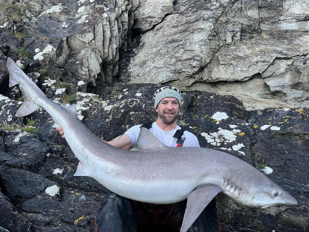 Massive Tope from North Devon Shoreline - North Devon & Exmoor Angling ...