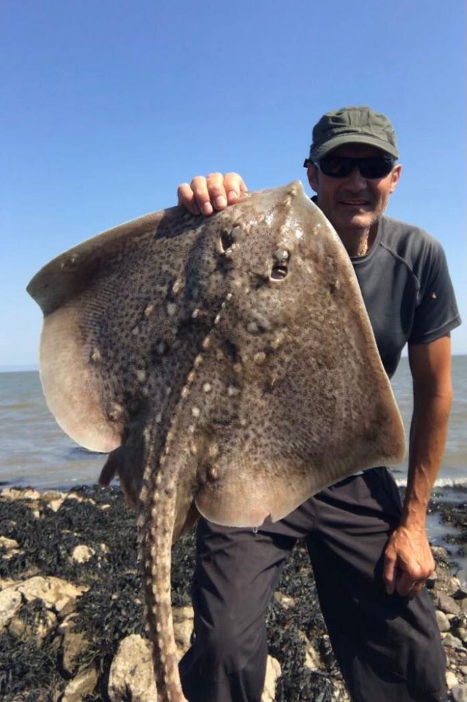 Ray and shark for Combe Martin SAC Member - North Devon & Exmoor ...