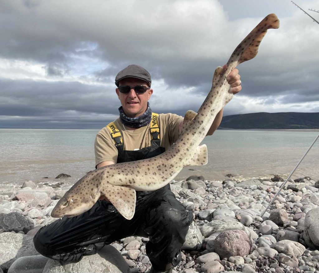 SPECIMEN HUSS WINS BIDEFORD SEA ROVER - North Devon & Exmoor Angling ...