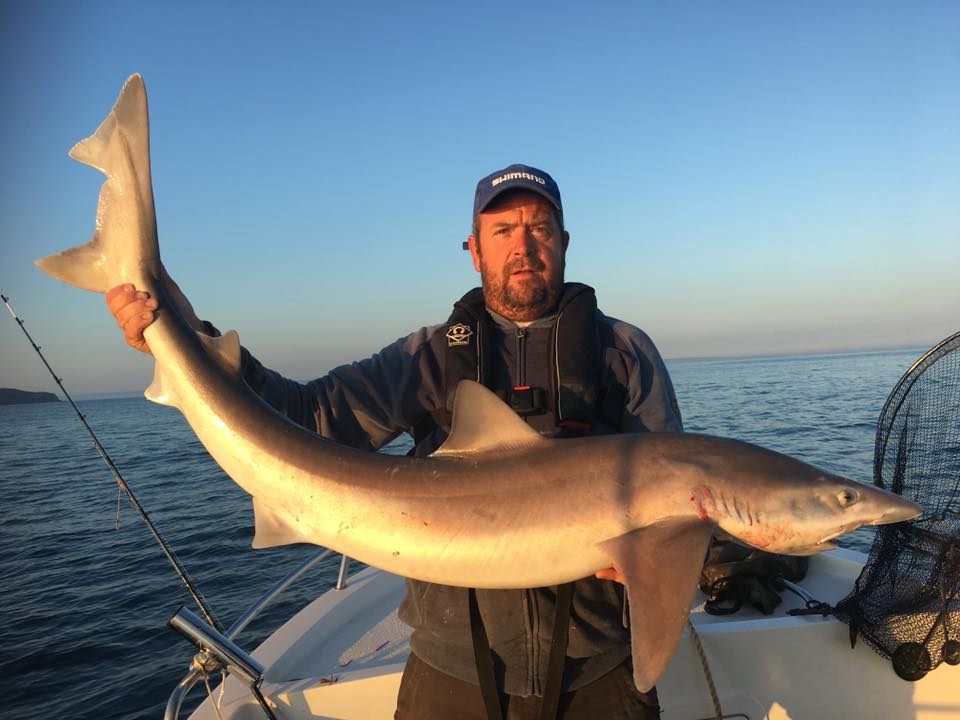 Fifty Eight Pound Tope Sets Club Record - North Devon & Exmoor Angling ...