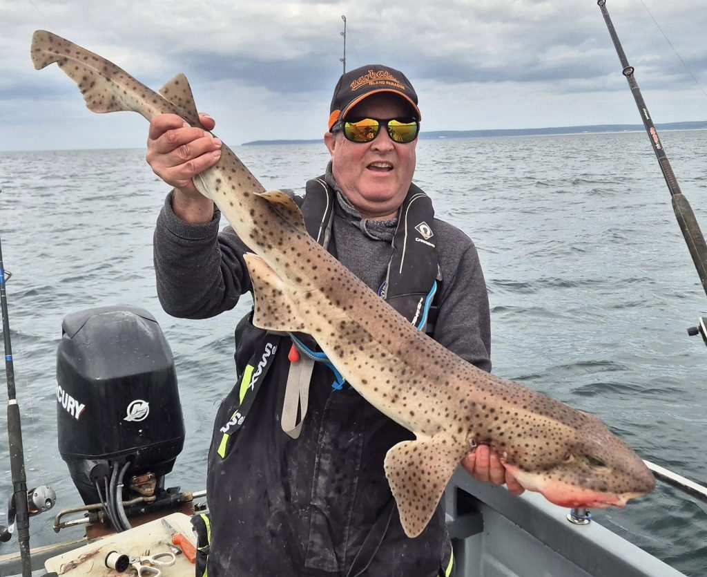 Sea Angling Archives - North Devon & Exmoor Angling News - The latest ...