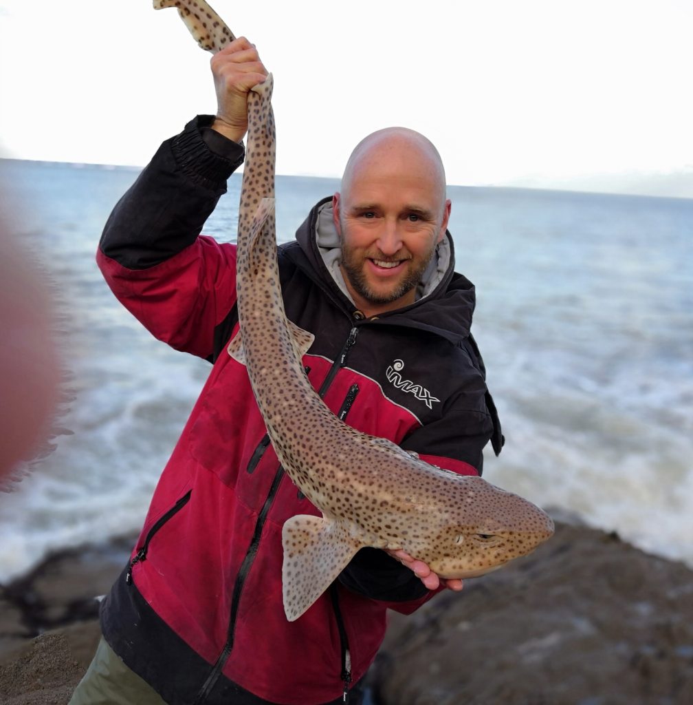 Bull Huss are about - North Devon & Exmoor Angling News - The latest up ...