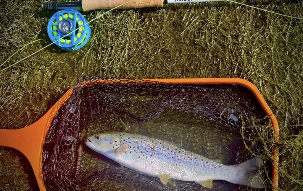 At the Waters Edge Archives - North Devon & Exmoor Angling News - The ...