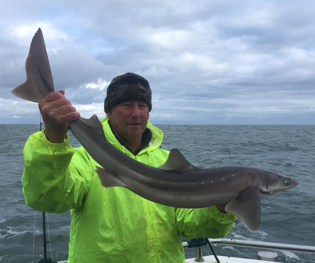 SPURDOG ARRIVE OFF-SHORE - North Devon & Exmoor Angling News - The ...
