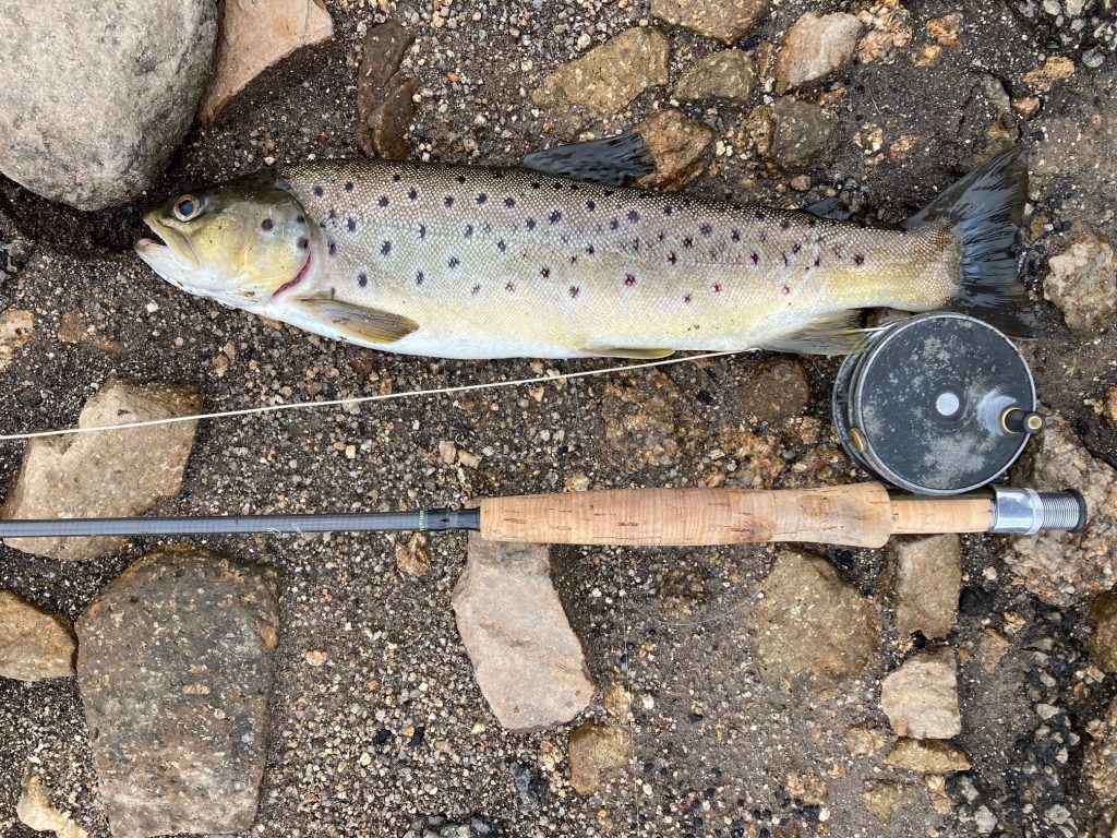 South West Lakes Trout Fisheries Report July 2023 - North Devon ...