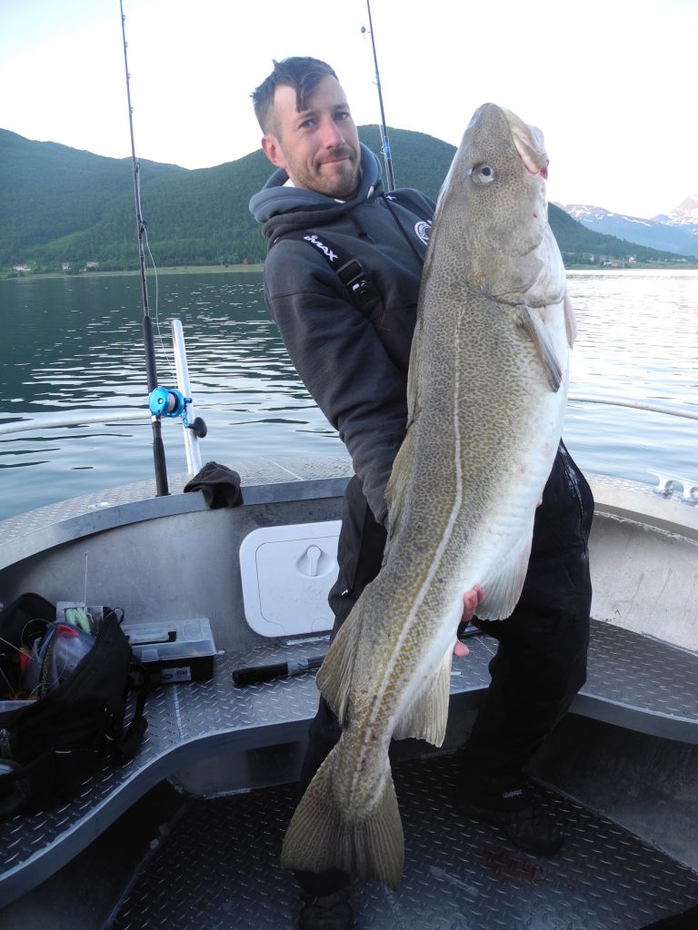 North Devon Angler lands 41lb Cod in Norway - On a spinning rod ...