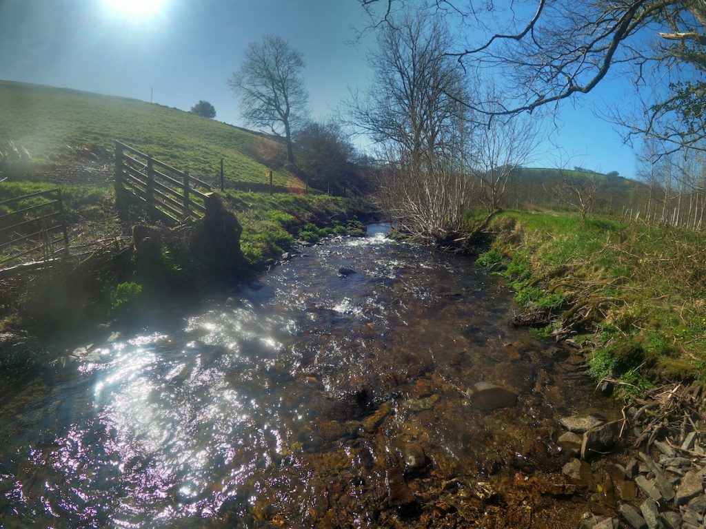 A Gold and Crimson Reward from a sparkling stream - North Devon ...