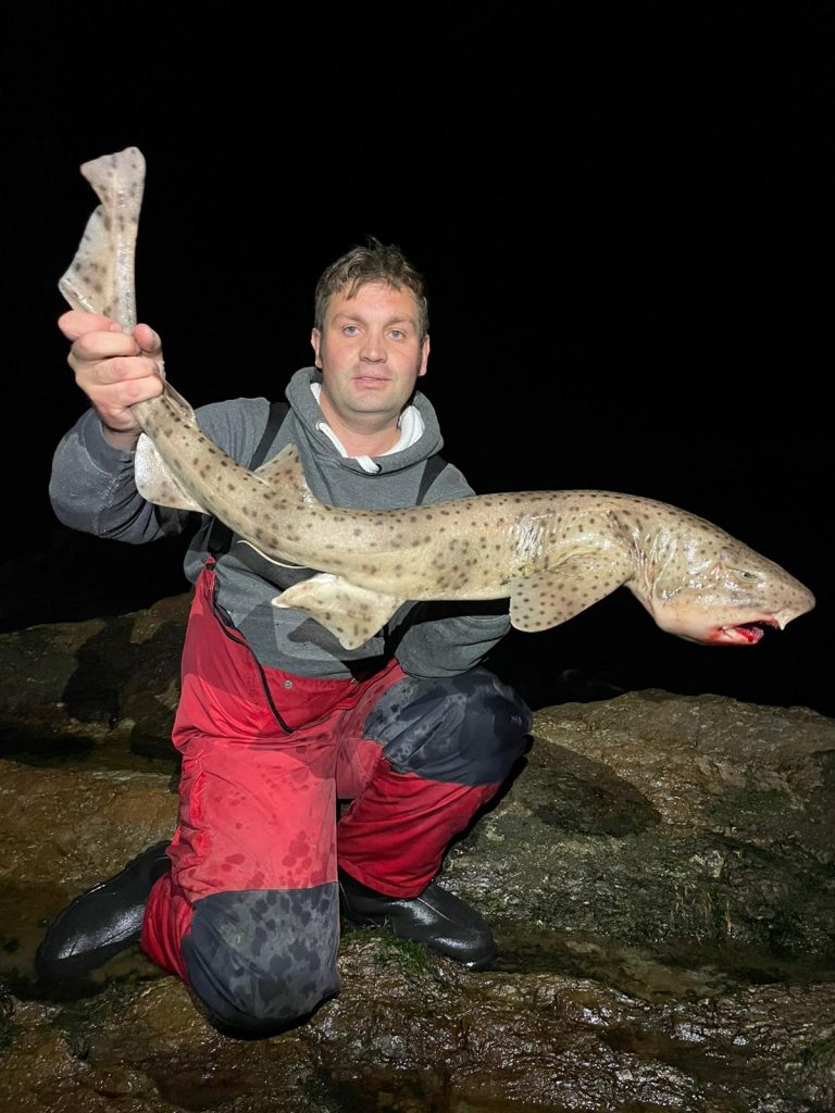 Autumn Bull huss - North Devon & Exmoor Angling News - The latest up to ...