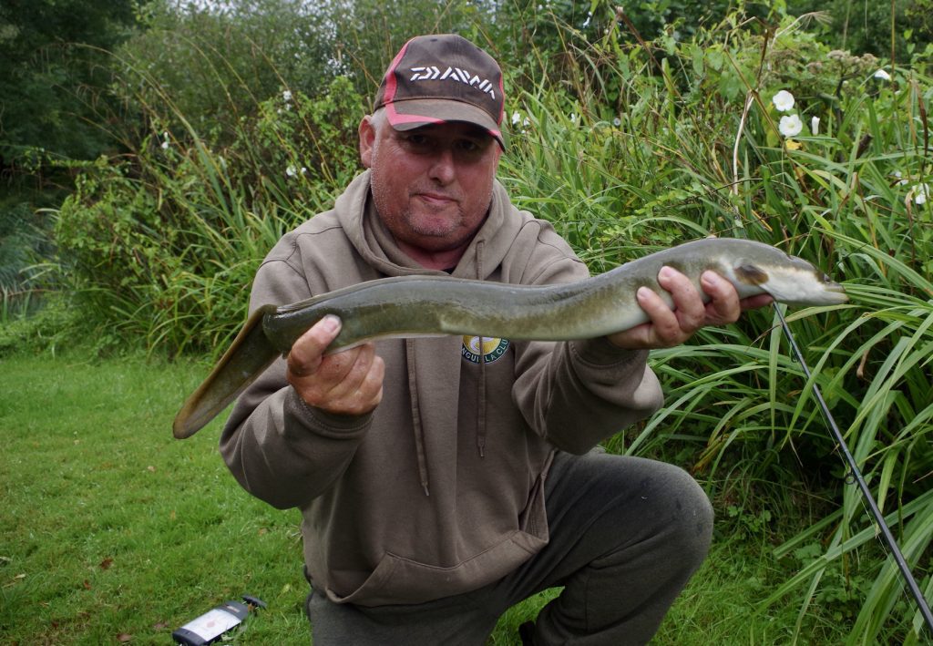The Mysterious & Enigmatic eel - North Devon & Exmoor Angling News ...