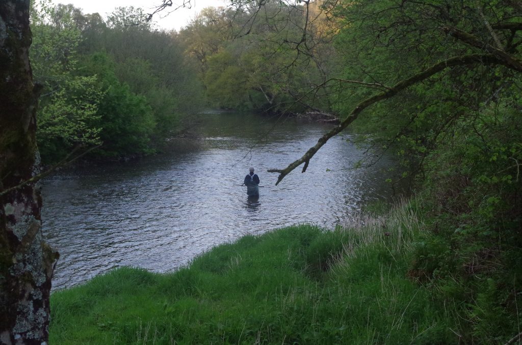 North Devon River Update - North Devon & Exmoor Angling News - The ...