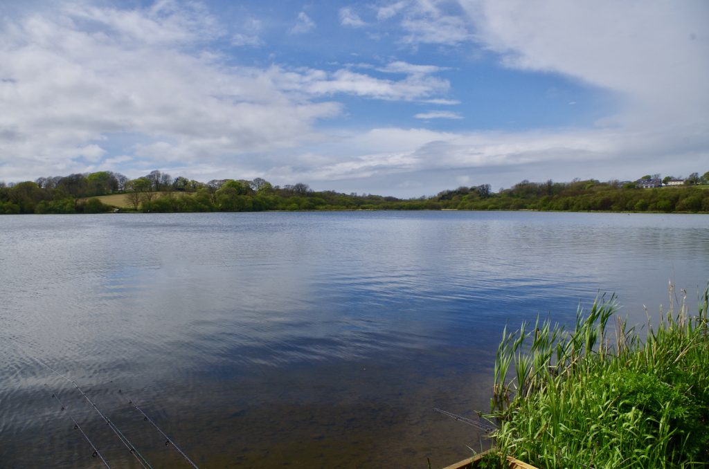 TWENTY FOUR HOURS AT LOWER TAMAR LAKE - North Devon & Exmoor Angling ...