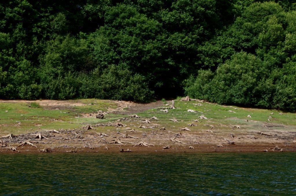 Game Fishing Archives - North Devon Angling News - The latest up to ...