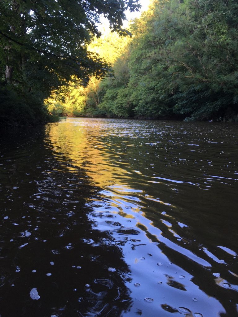 Summer salmon run on North Devon Rivers - North Devon & Exmoor Angling ...