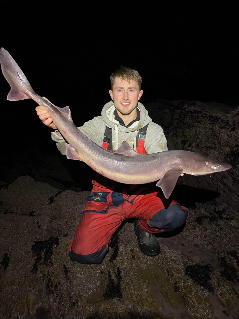 Specimen spurdog, conger and huss in CMSAC Competition - North Devon ...