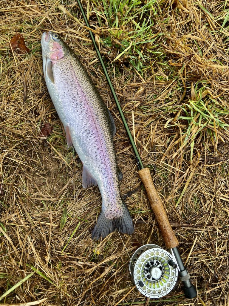 FEBRUARY TROUT ACTION at WIMBLEBALL - North Devon & Exmoor Angling News ...