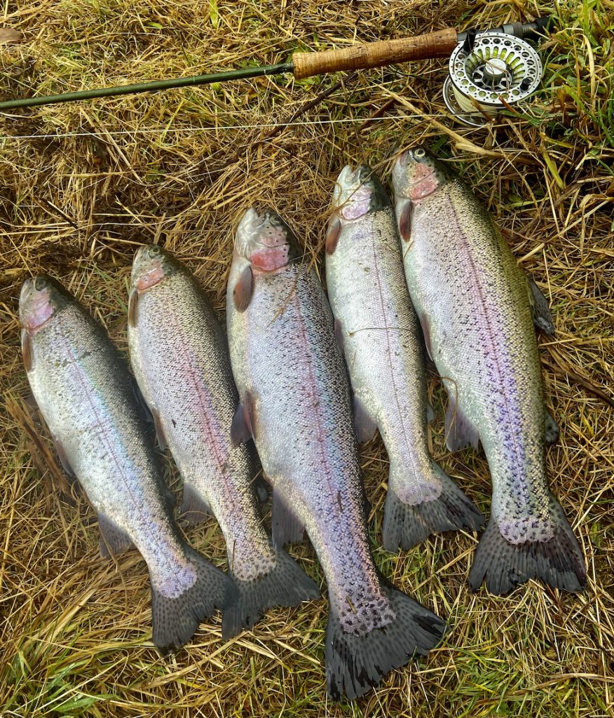 FEBRUARY TROUT ACTION at WIMBLEBALL - North Devon & Exmoor Angling News ...