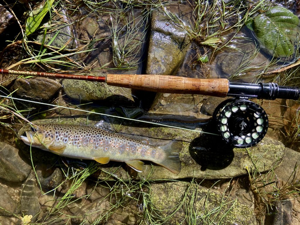 At the Waters Edge Archives - North Devon & Exmoor Angling News - The ...