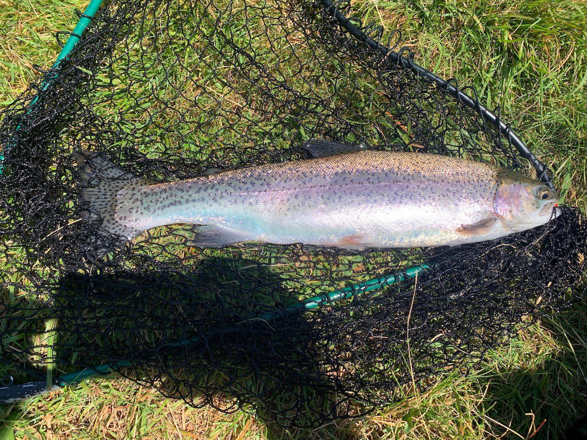 Kennick Alan Behan - North Devon & Exmoor Angling News - The latest up ...