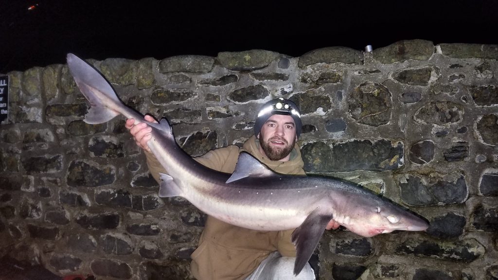 Huge Shore Caught Spurdog - North Devon & Exmoor Angling News - The ...