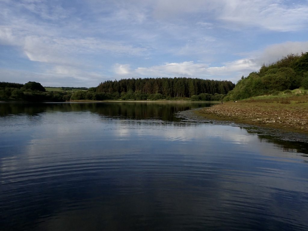 Game Fishing Archives - North Devon Angling News - The latest up to ...