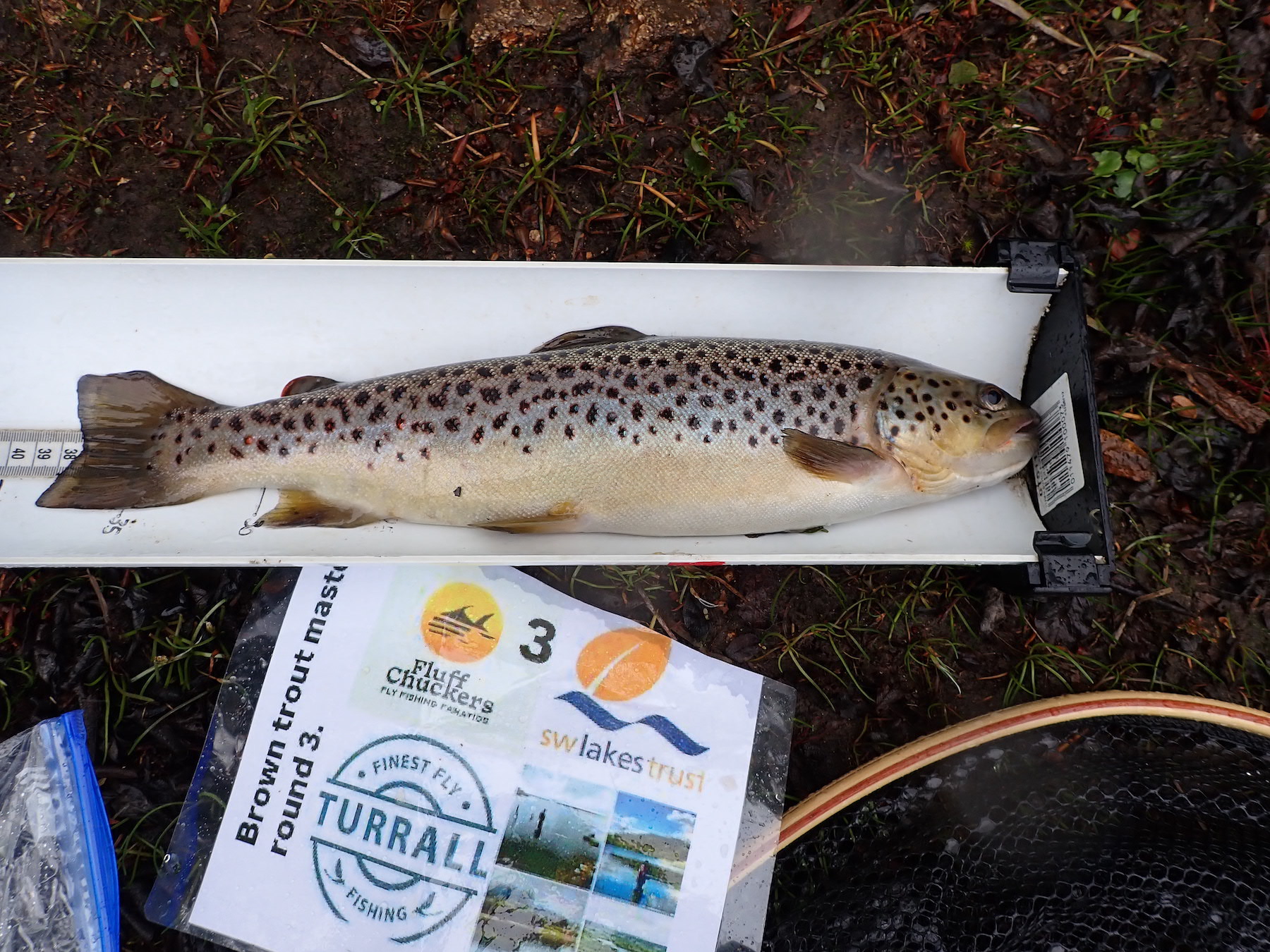 Fluff Chuckers / SWLT Brown Trout Masters Round 3 Fernworthy… - North ...